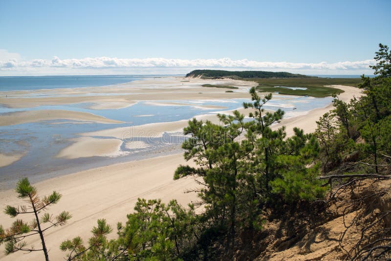 Welfleet bay stock photo. Image of shore, nature, forest - 49353212