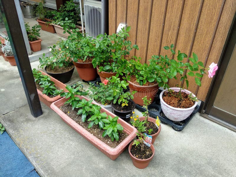 Well Arranged Green Corner stock image. Image of green - 155169371