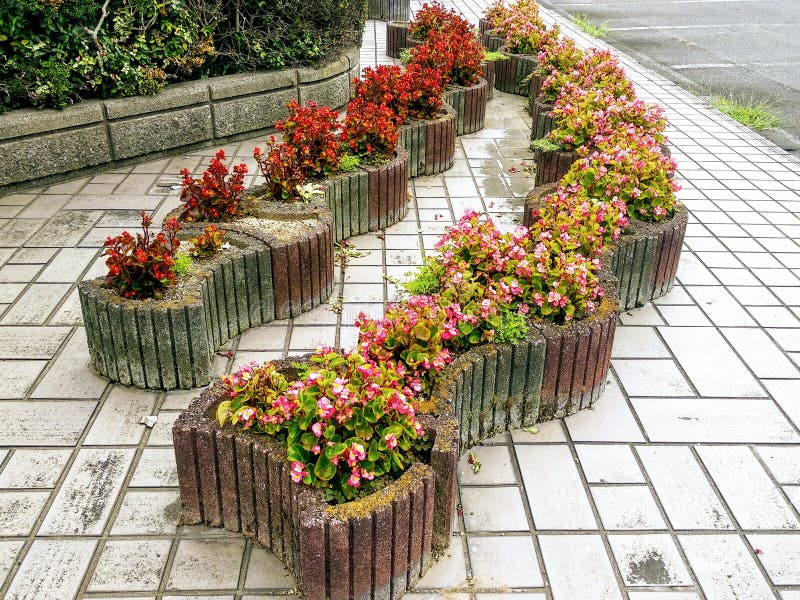 Well Arrangement Flowers stock photo. Image of arrangement - 156985850