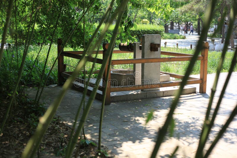 A Well in the Bamboo Forest Stock Image - Image of silently, recounting ...