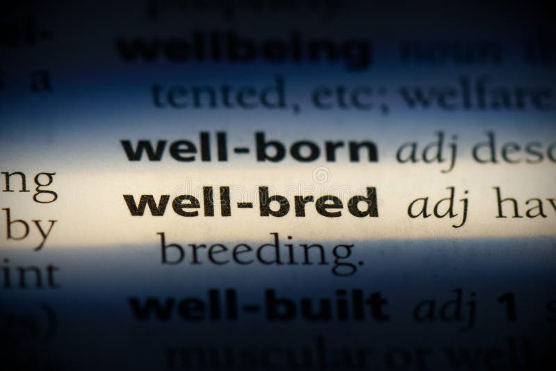 Well-bred stock photo. Image of highlighted, language - 161578906