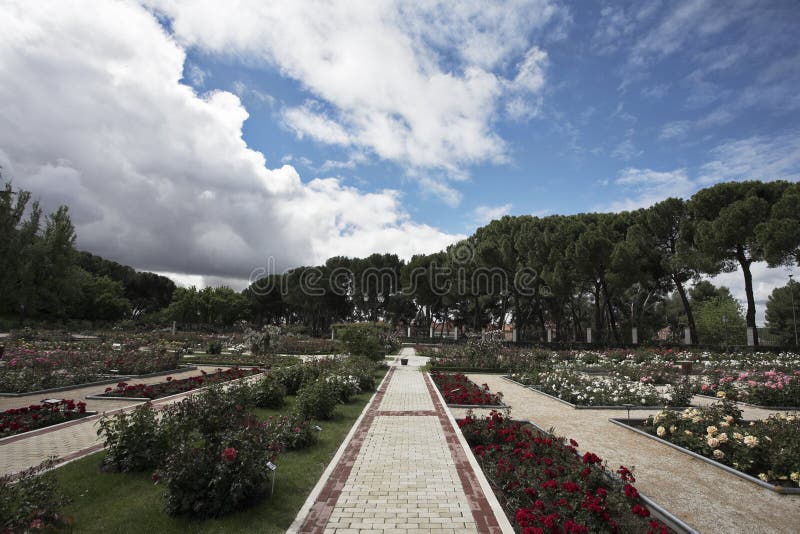 Spring Day in the Madrid Park Stock Photo - Image of plant, madrid: 9350156