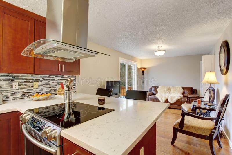 Well Kept Kitchen with Hardwood Floor. Stock Photo - Image of ...