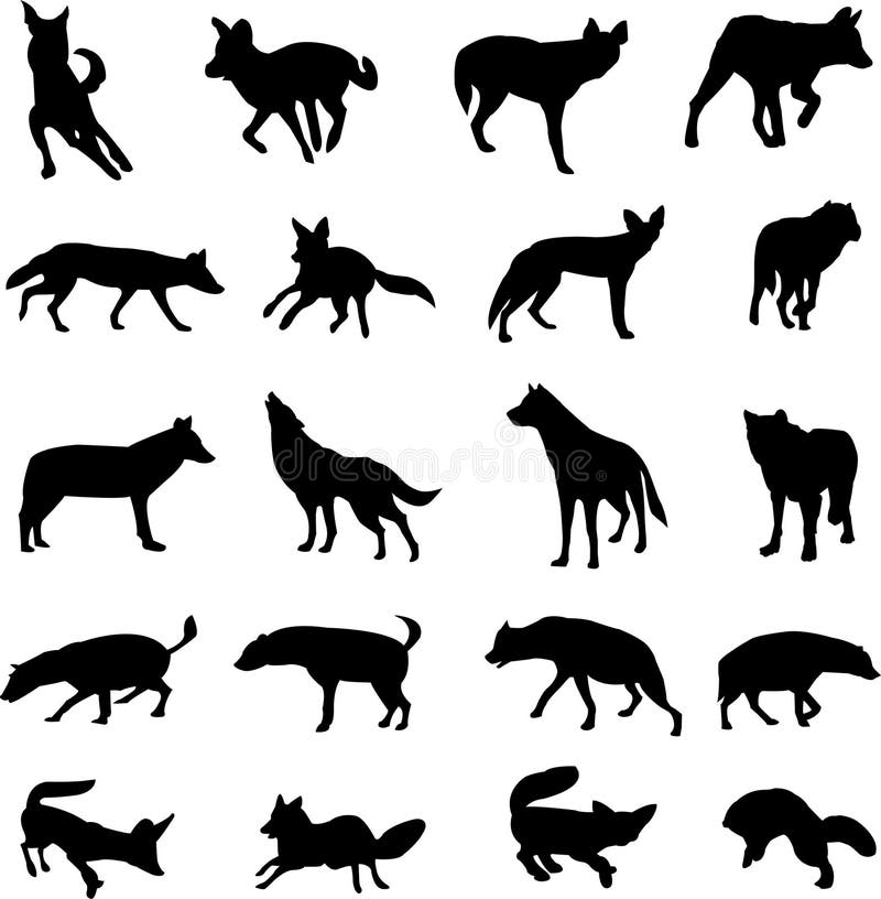 Well-known Around the World Canids Stock Vector - Illustration of ...