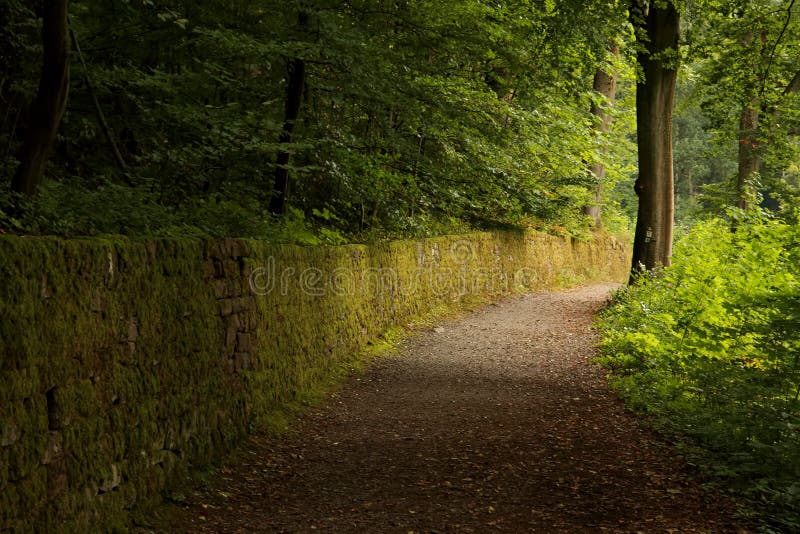 Well Lit Path stock photo. Image of stroll, light, path - 58316214
