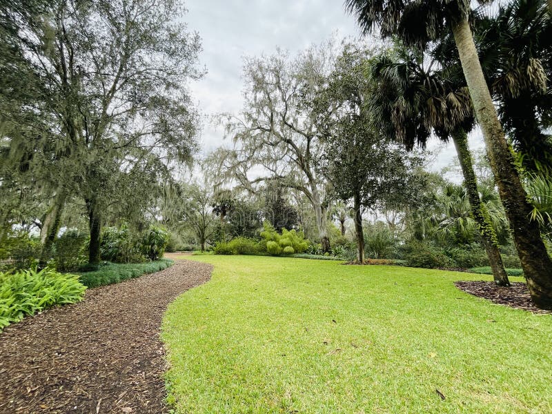 Maintained Big Yard and Its Greenery of Plants Stock Image - Image of ...