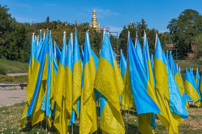 A Well-organized Display of Blue and Yellow Flags, Possibly ...