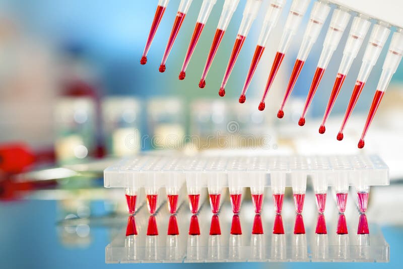 96 Well Plate with Samples for Biological Analysis. Microplate for ...