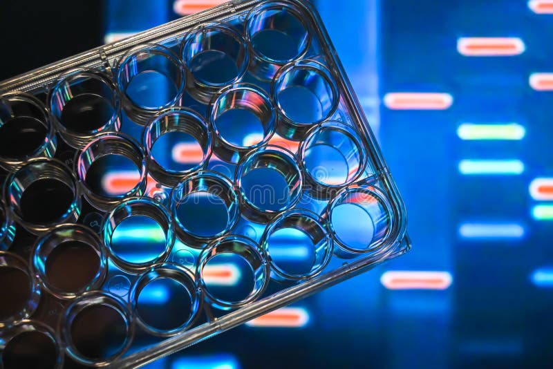 Cell Culture Technology in Biology and Medicine. Stock Photo - Image of ...