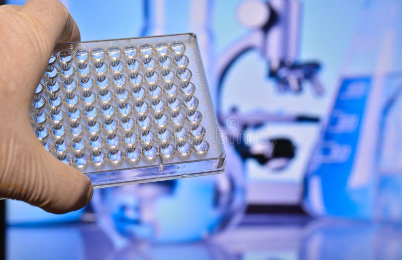 Well plate in the lab. stock image. Image of sample, analysis - 68750213