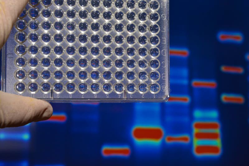 Well plate in the lab. stock image. Image of sample, analysis - 68750213