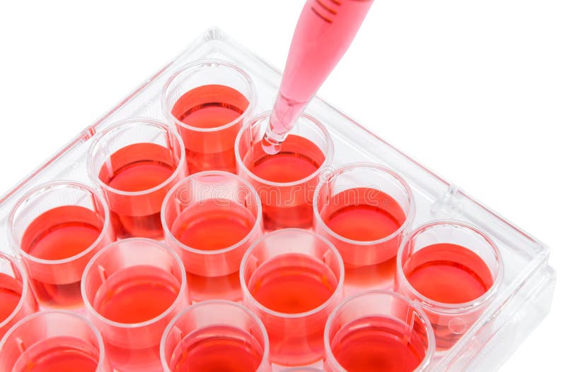 24 well plate red solution stock image. Image of solution - 53325261