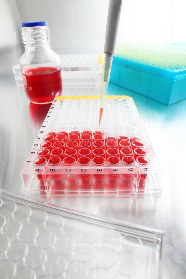 Medical Biotechnology Science Experiment Stock Image - Image of ...