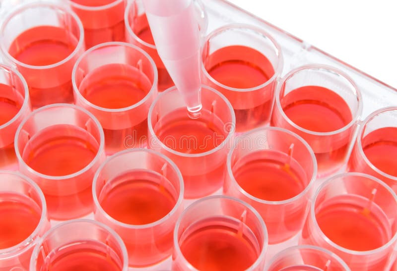 24 Well Plate Test Laboratory Stock Image - Image of laboratory ...