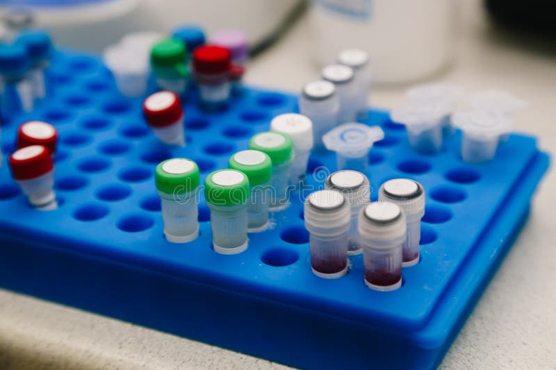 Well Plate with Test Tubes with Samples for Analysis Stock Image ...