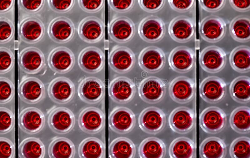 96 well plates stock image. Image of biology, stem, science - 39354845