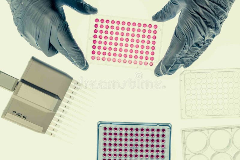 96 Well Plates in the Laboratory of Genetic Modification Using CRISPR ...