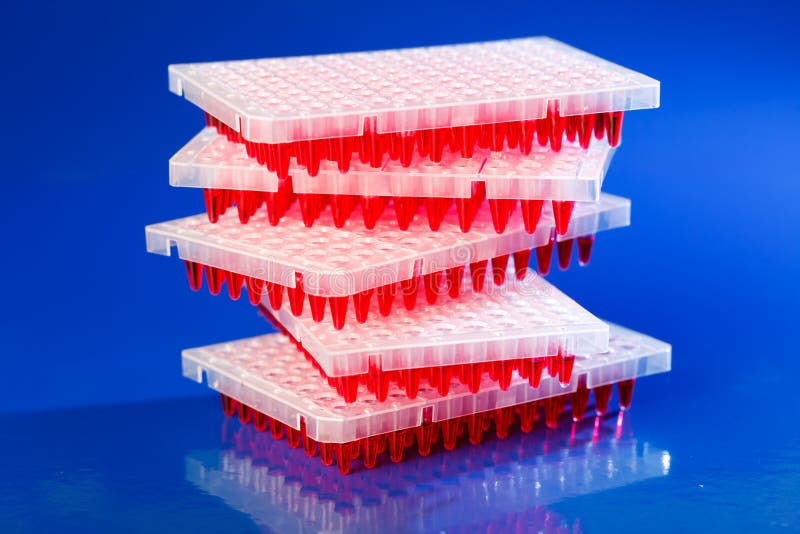 96 Well Plates in the Laboratory of Genetic Modification Using CRISPR ...