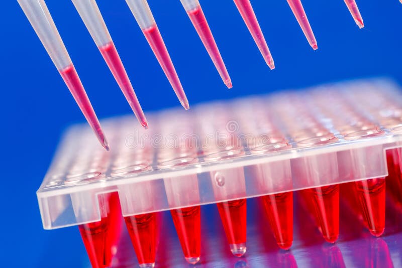 96 Well Plates in the Laboratory of Genetic Modification Using CRISPR ...