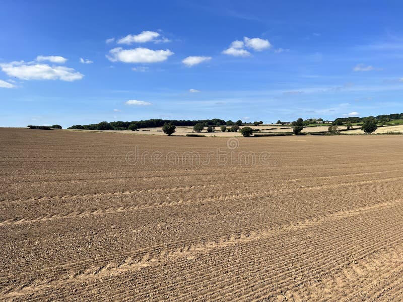 Farm Fields stock image. Image of farm, industry, horizon - 289264121