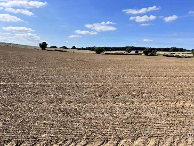 Farm Fields stock image. Image of industry, fields, muck - 289264139