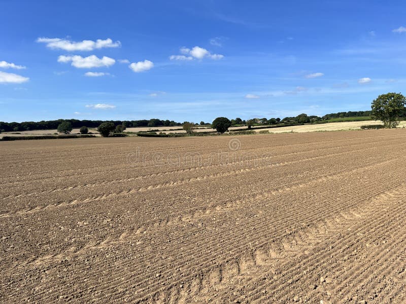 Farm Fields stock photo. Image of rows, prepare, line - 289264148