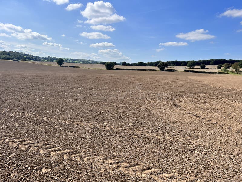 Farm Fields stock photo. Image of prepare, field, horizon - 289264168