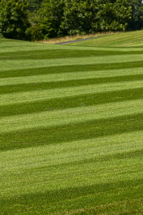 Well Prepared Grass Golf Course Stock Photos - Free & Royalty-Free ...
