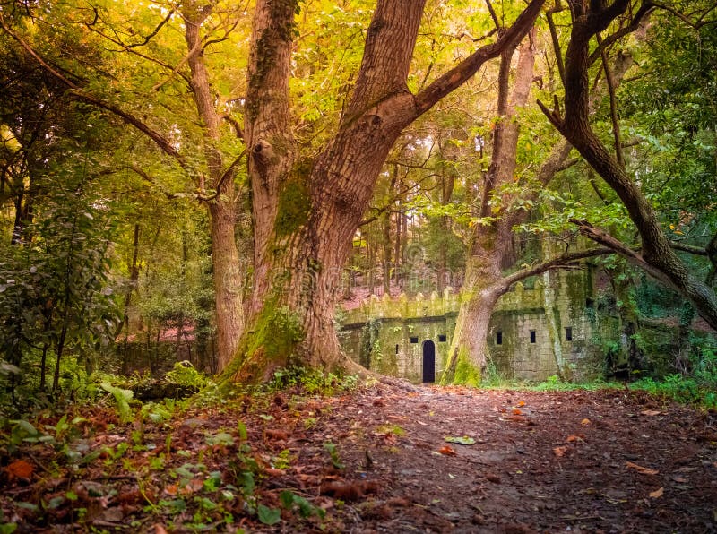Well-preserved Remains of a Castle Covered Wit Moss in Aldan, Spain ...