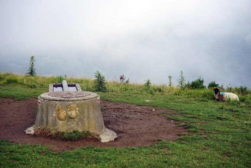 Well and sheep stock photo. Image of concrete, pyrenee - 65019146