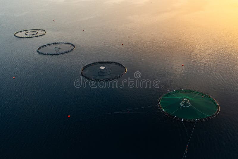 Cages Function Stock Photos - Free & Royalty-Free Stock Photos from ...