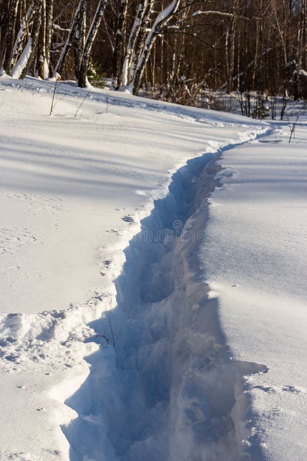 555 Path Trodden Snow Stock Photos - Free & Royalty-Free Stock Photos ...