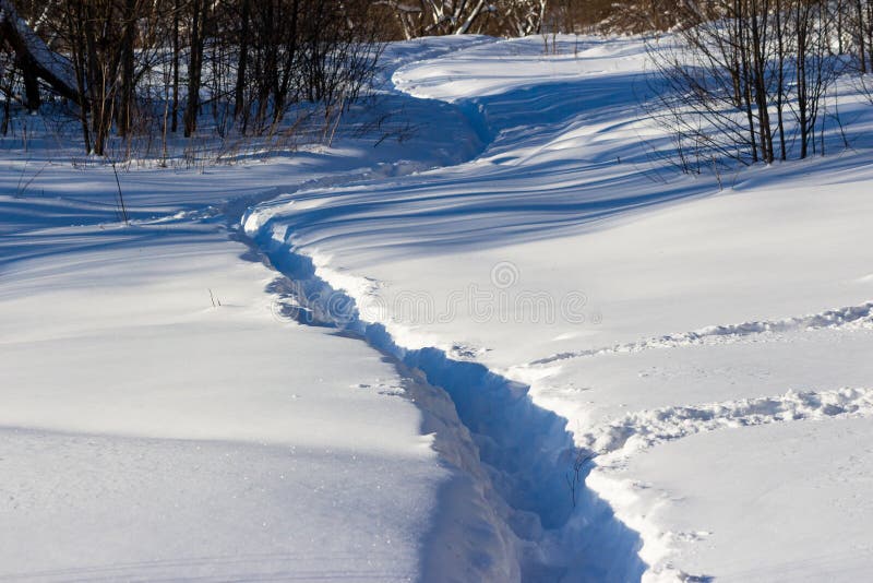 A Well-trodden Path on the Side of a Mountain Hill among the Vegetation ...