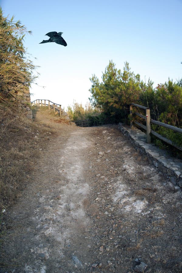 Well-trodden path stock photo. Image of hiking, hike - 79628004
