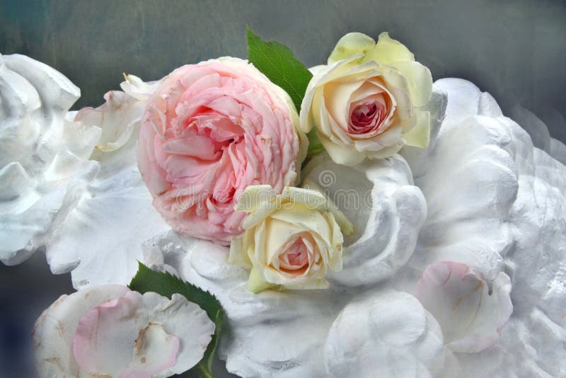 Wellness stock image. Image of flower, wellness, relex - 15107123