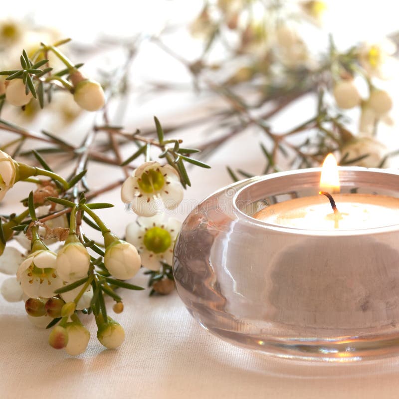 Wellness in old style stock image. Image of pink, beauty - 19427701