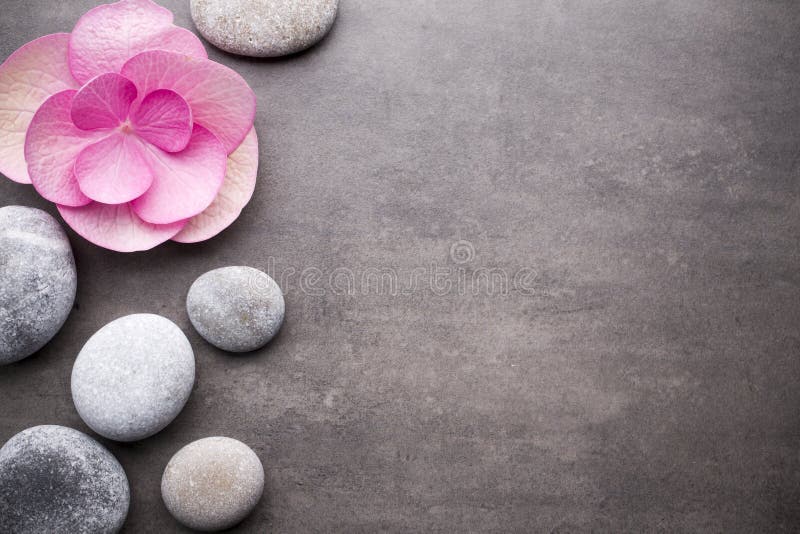 Wellness background. stock photo. Image of flower, wellness - 55675100