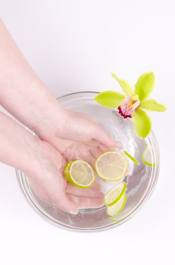 Wellness for hands stock photo. Image of fitness, flower - 24005728