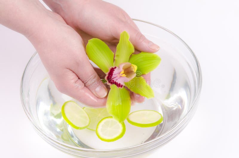 Wellness for hands stock photo. Image of hand, flower - 24005738