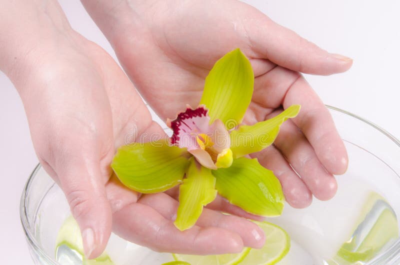 Wellness for hands stock photo. Image of hand, flower - 24005738