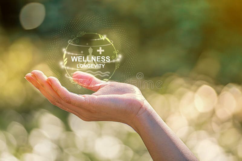 Wellness and Longevity Concept. a Hand Holds a Digital Representation ...