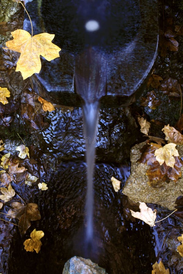 Wellspring Flowing from the Ground through Wooden Gutter in Forest ...