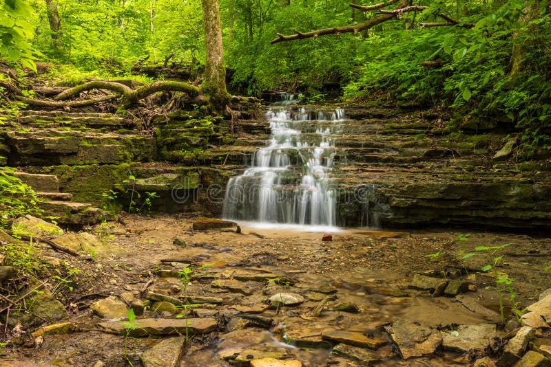 Wellstone Falls - a Small Cascading Waterfall on a Stream in the Woods ...