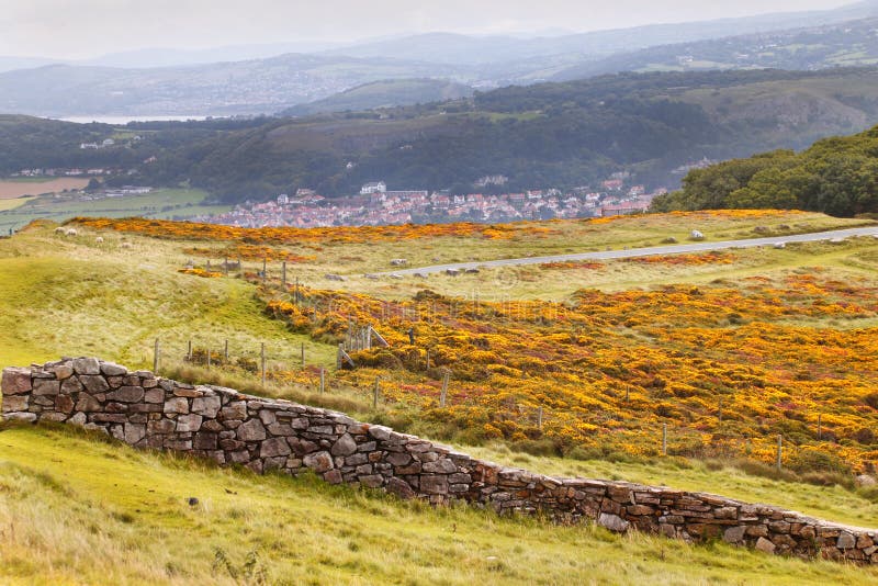 The Welsh Countryside stock image. Image of country, scenic - 32035005