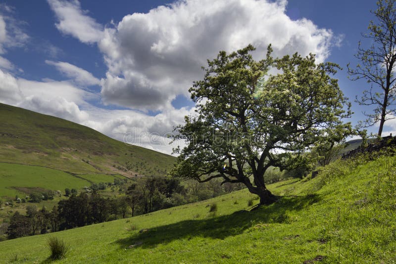 Welsh Countryside in the Brecon Beacons Stock Photo - Image of camping ...