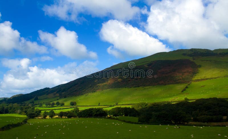 Welsh Countryside stock image. Image of countryside, farm - 31938719