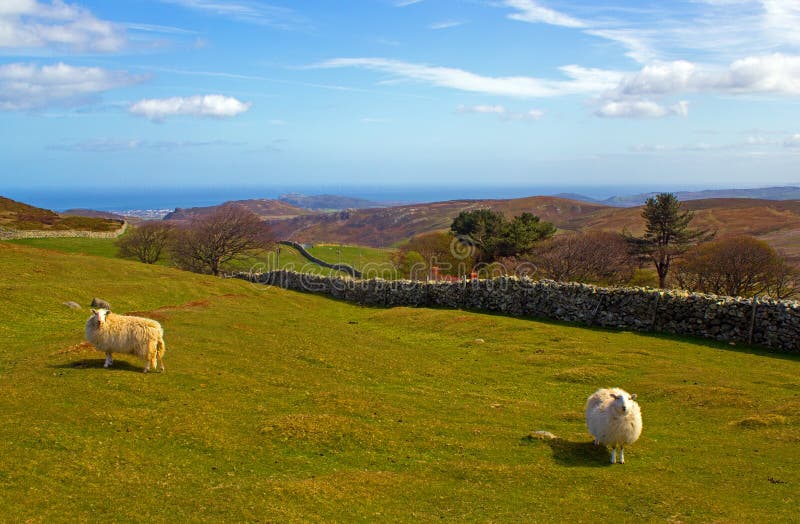 Welsh Countryside stock photo. Image of hill, panorama - 17400770