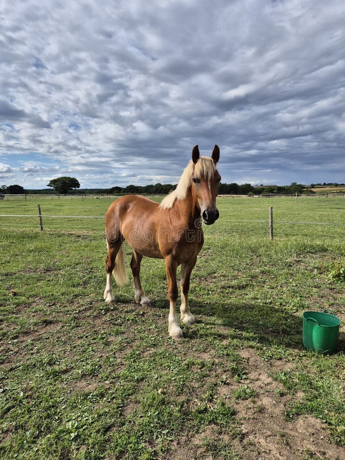 3,767 What Agoood Boy Stock Photos - Free & Royalty-Free Stock Photos ...