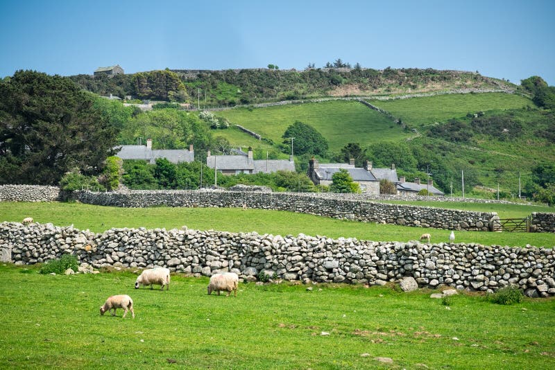 The Welsh Countryside stock image. Image of country, scenic - 32035005