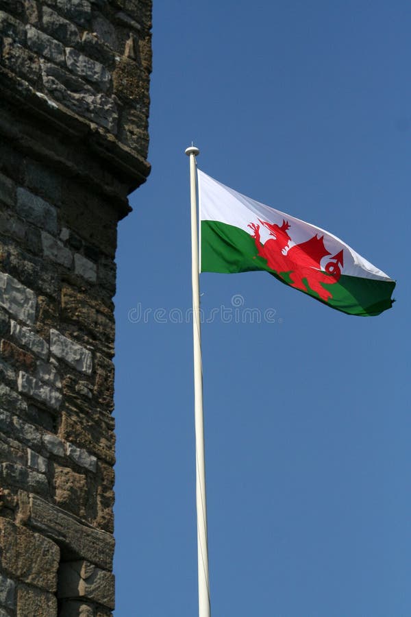 Welsh flag stock photo. Image of wales, nationality, celtic - 23921226